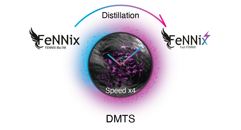 Accelerating Molecular Dynamics Simulations with Foundation Neural ...